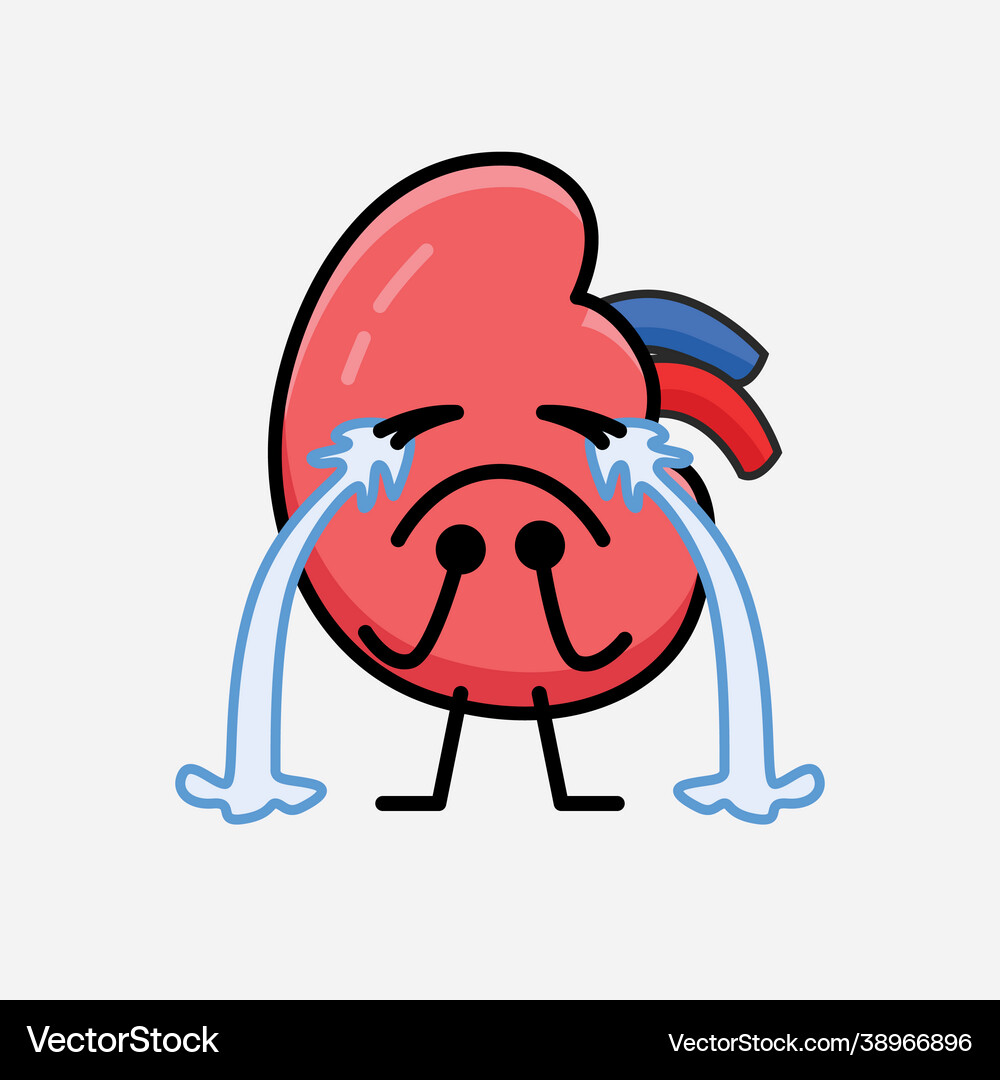 Kidney character with cute face and simple body Vector Image