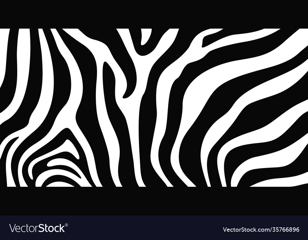 Zebra texture Royalty Free Vector Image - VectorStock