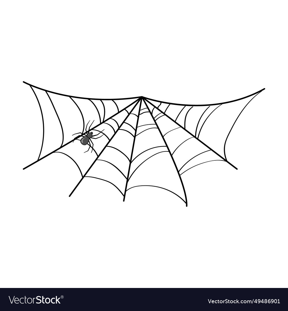 Web cobweb cartoon Royalty Free Vector Image - VectorStock