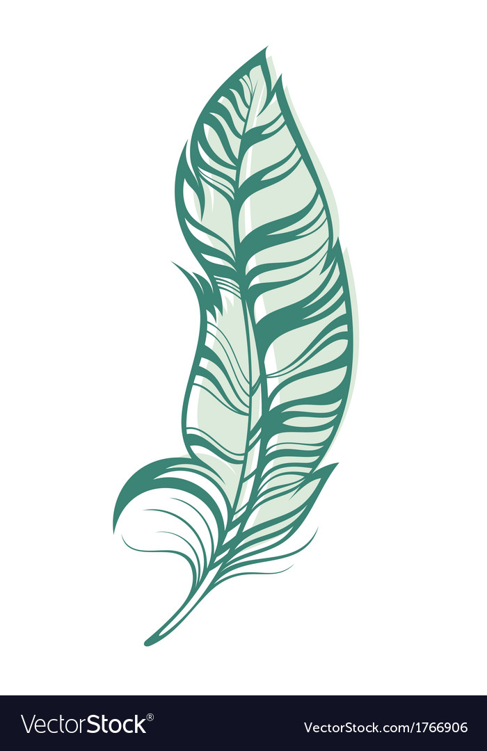 Feather Royalty Free Vector Image - VectorStock