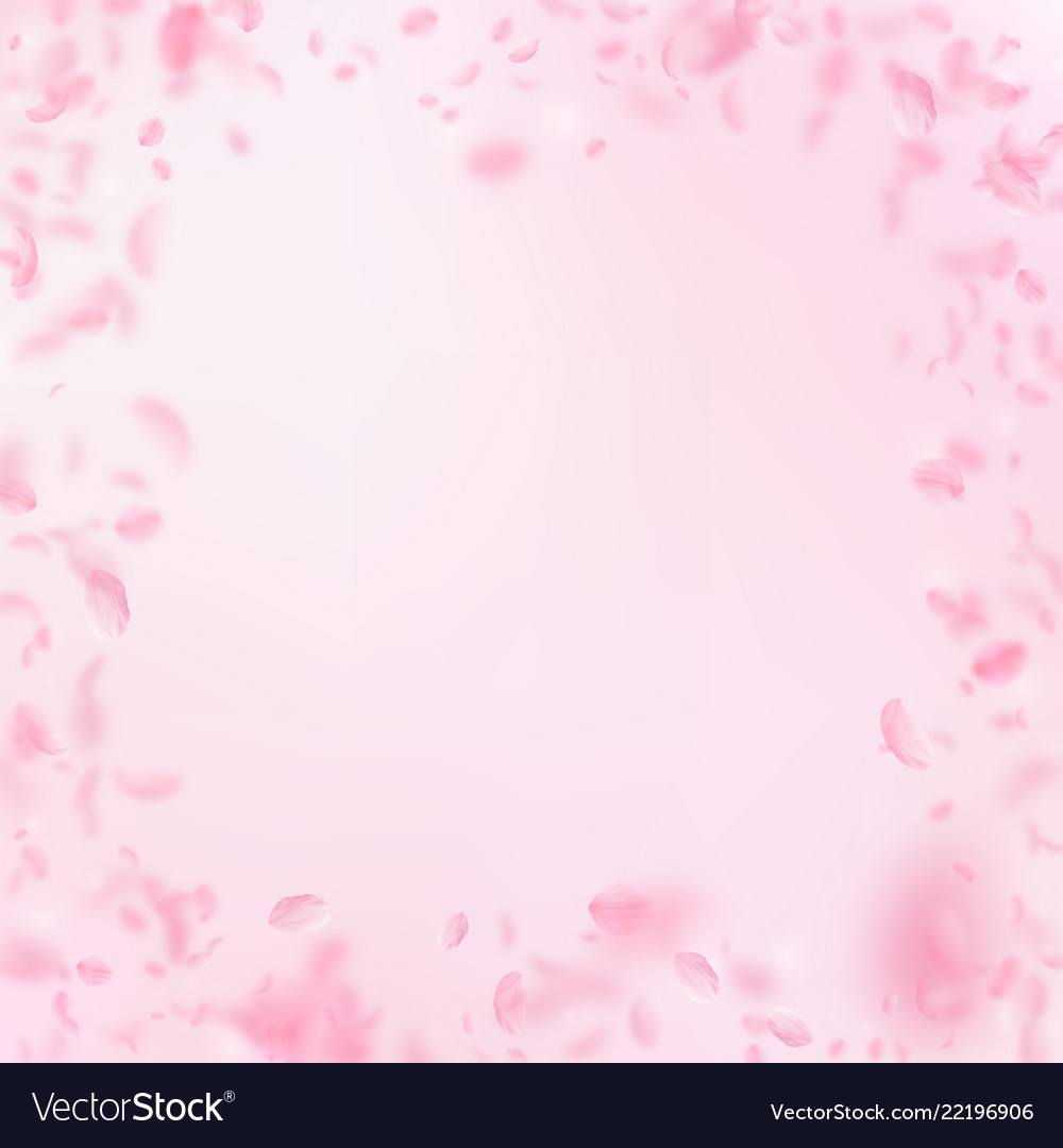 Sakura petals falling down romantic pink flowers Vector Image