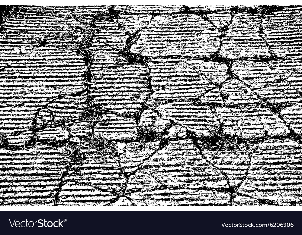 Texture Royalty Free Vector Image - VectorStock