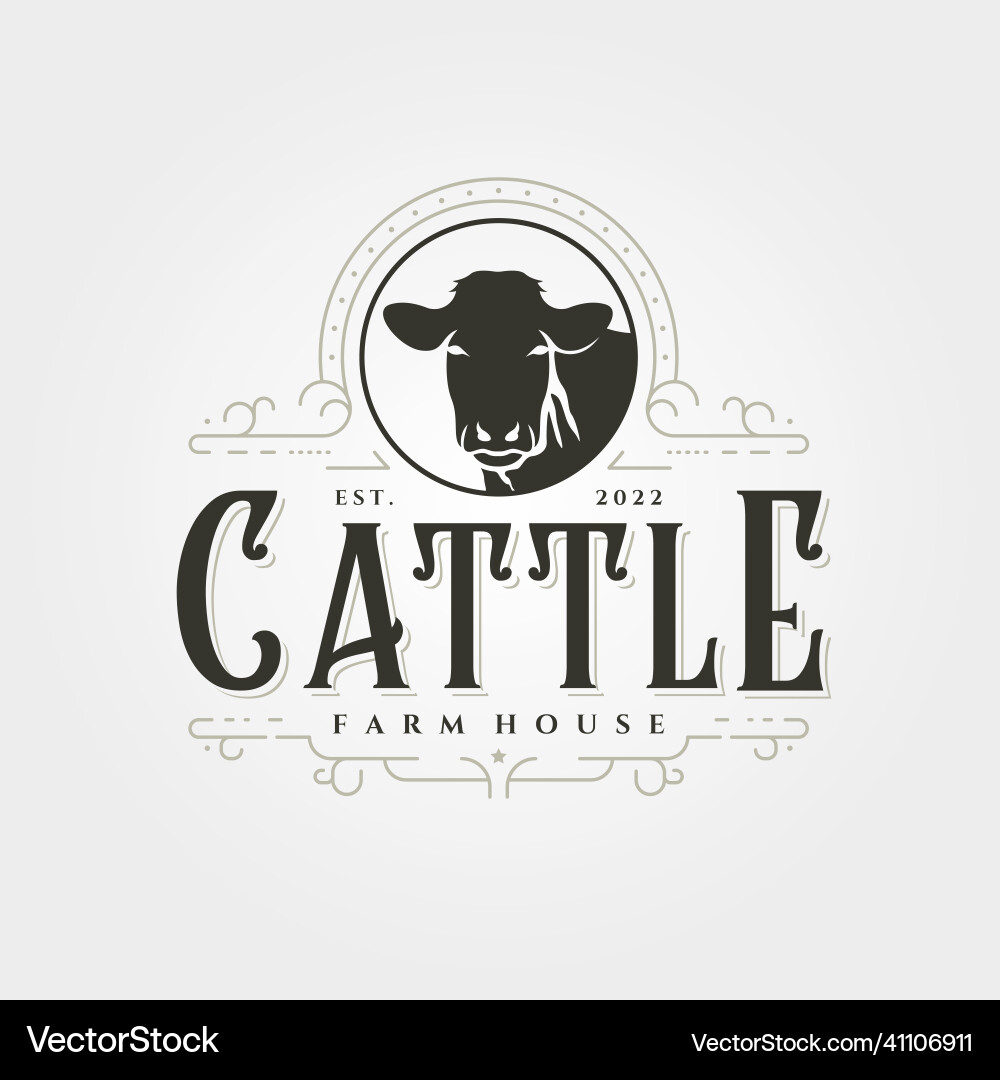 Cattle logo vintage design angus livestock Vector Image