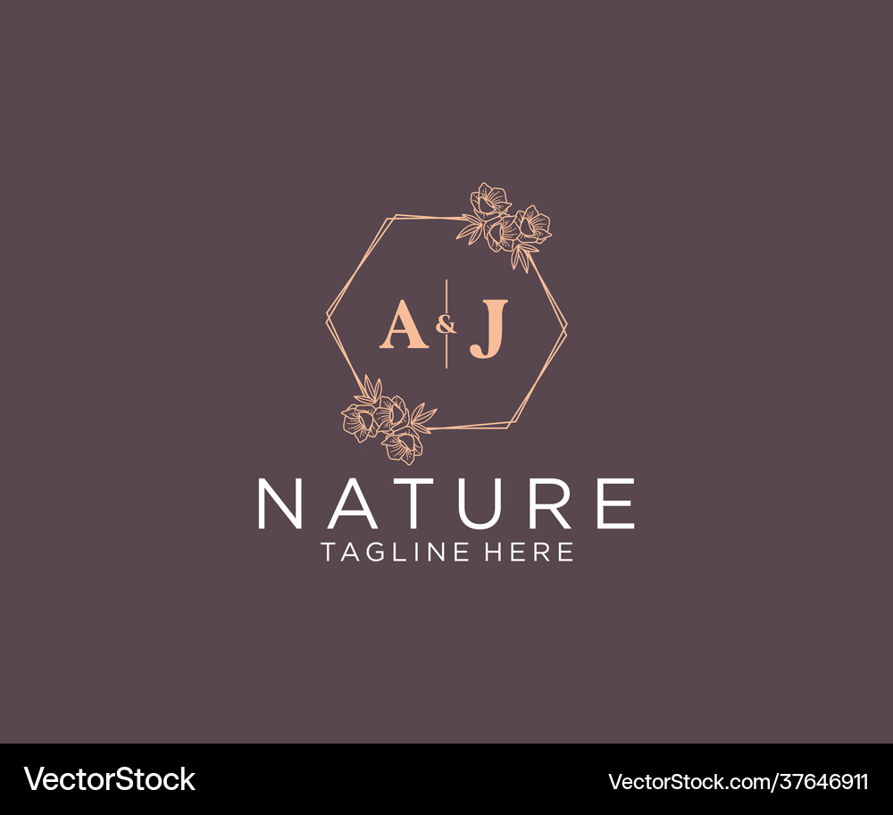 Initial aj letters floral frames botanical Vector Image
