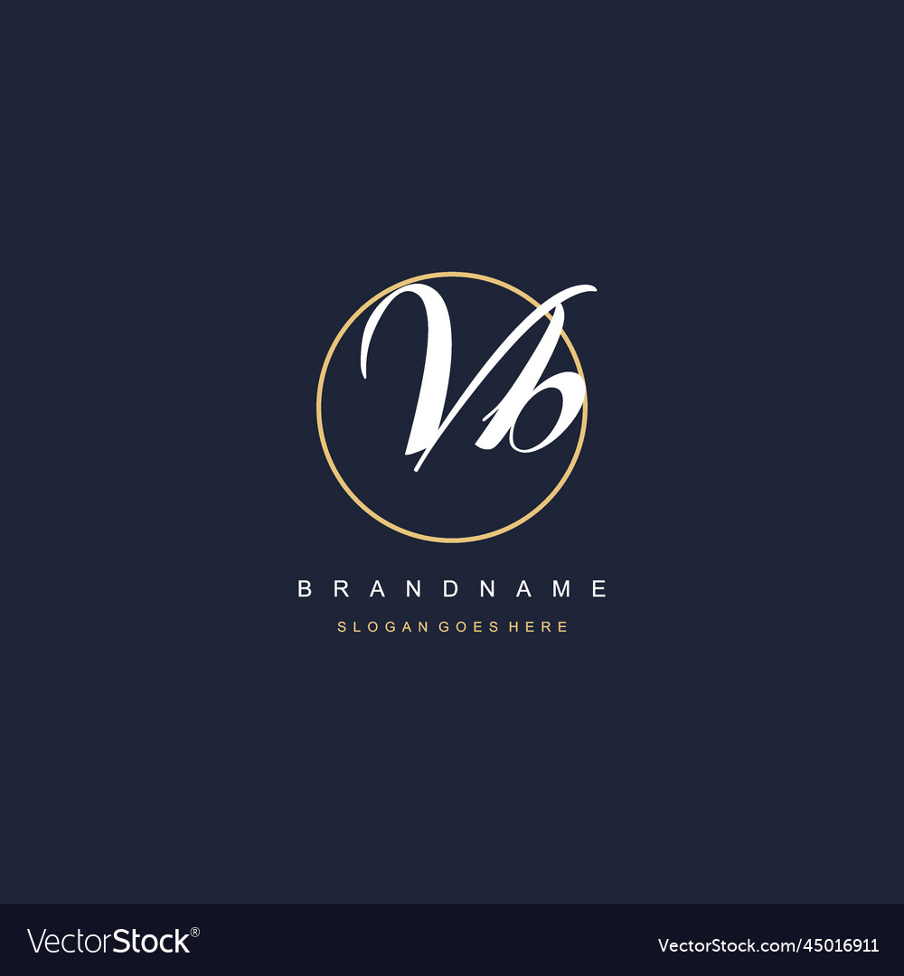 Initial letter vb logo monogram feminine style Vector Image