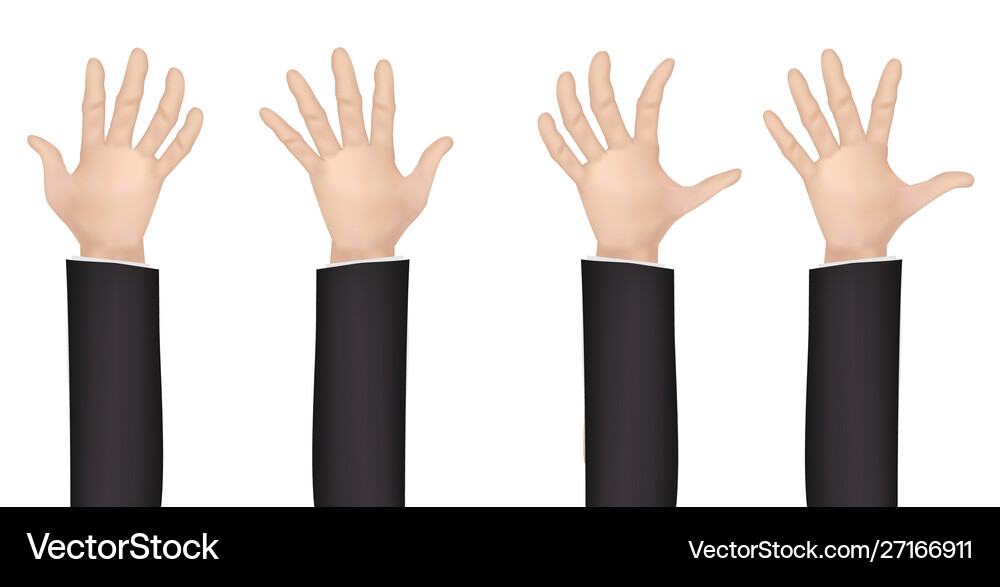 Real human male man hand set Royalty Free Vector Image
