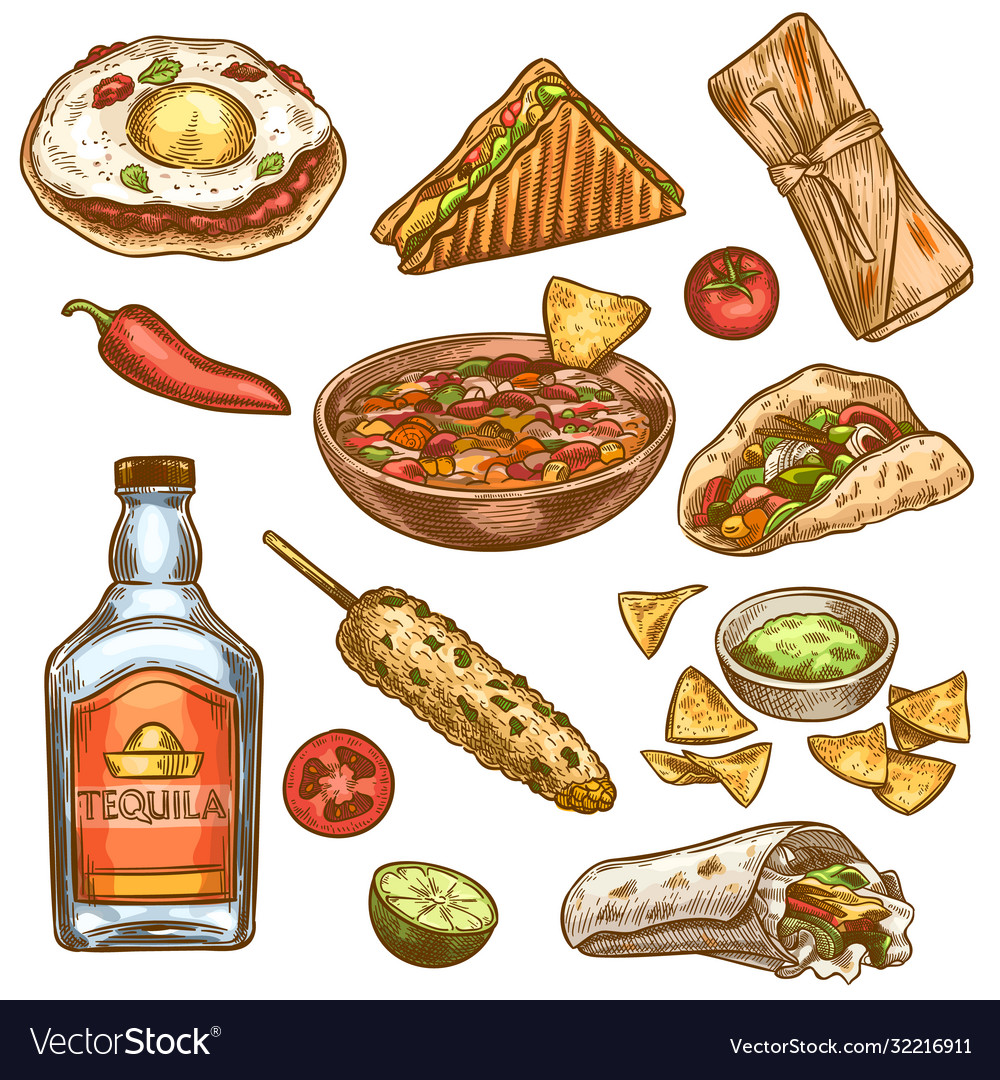 Traditional Mexican Food Mexican National Burrito Vector Image traditional-mexican-food-mexican-national-burrito-vector-image