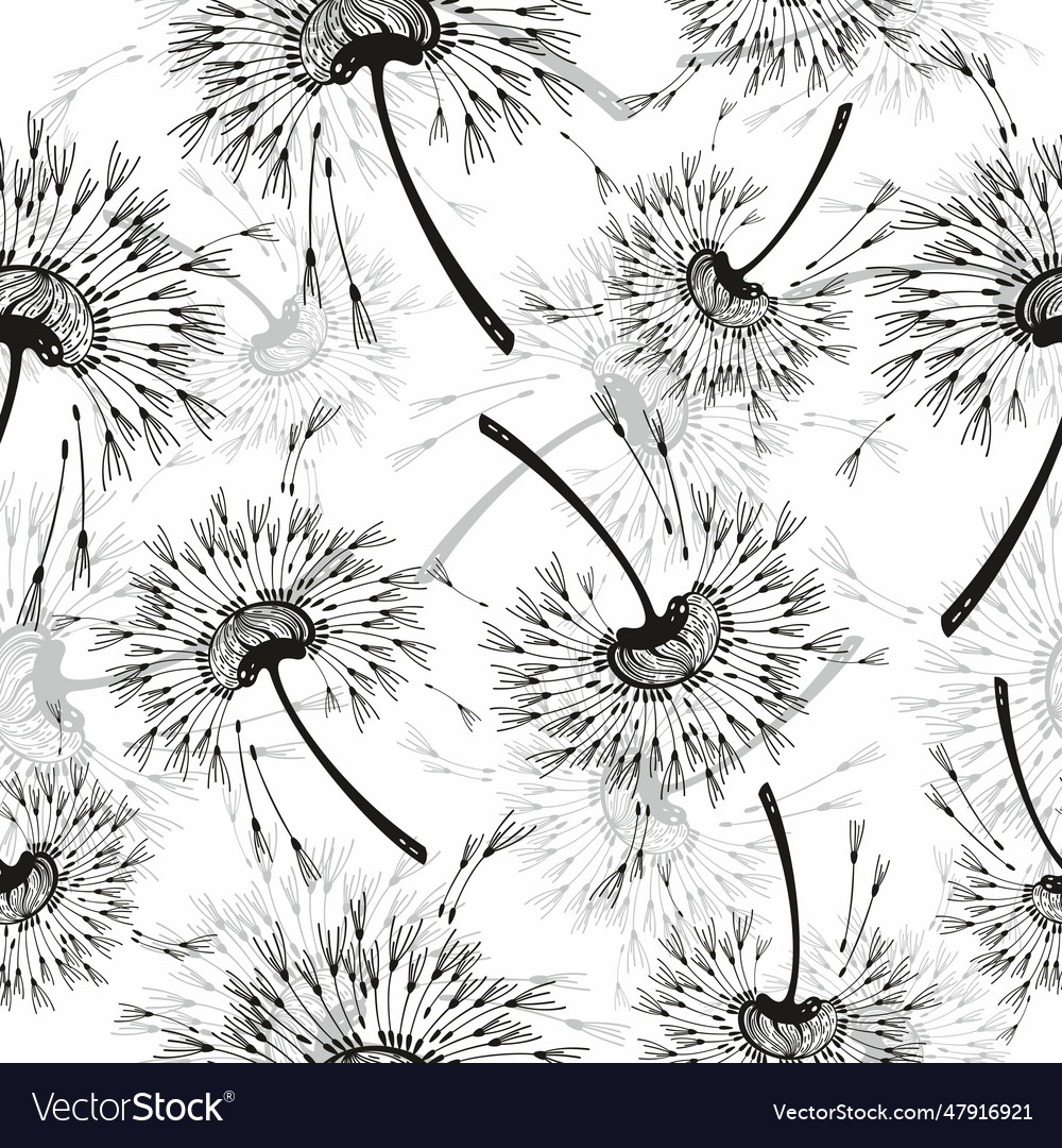 Dandelion background Royalty Free Vector Image