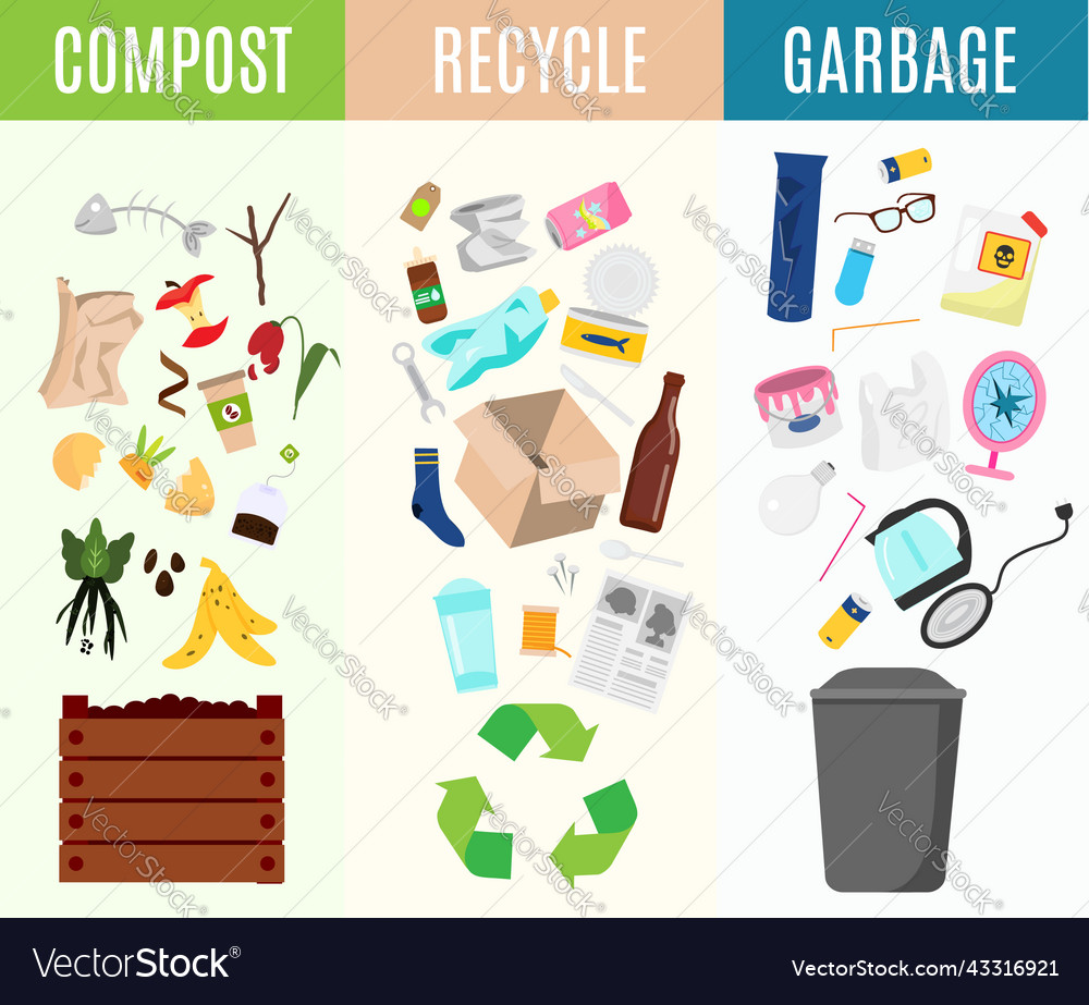 Recyclable compost and garbage infographic Vector Image