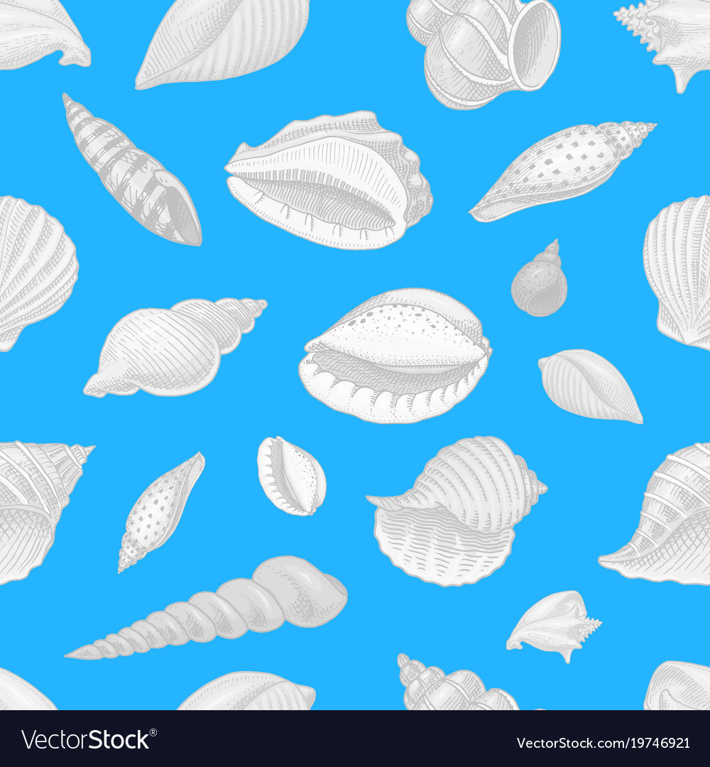 Seamless pattern shells or mollusca different Vector Image