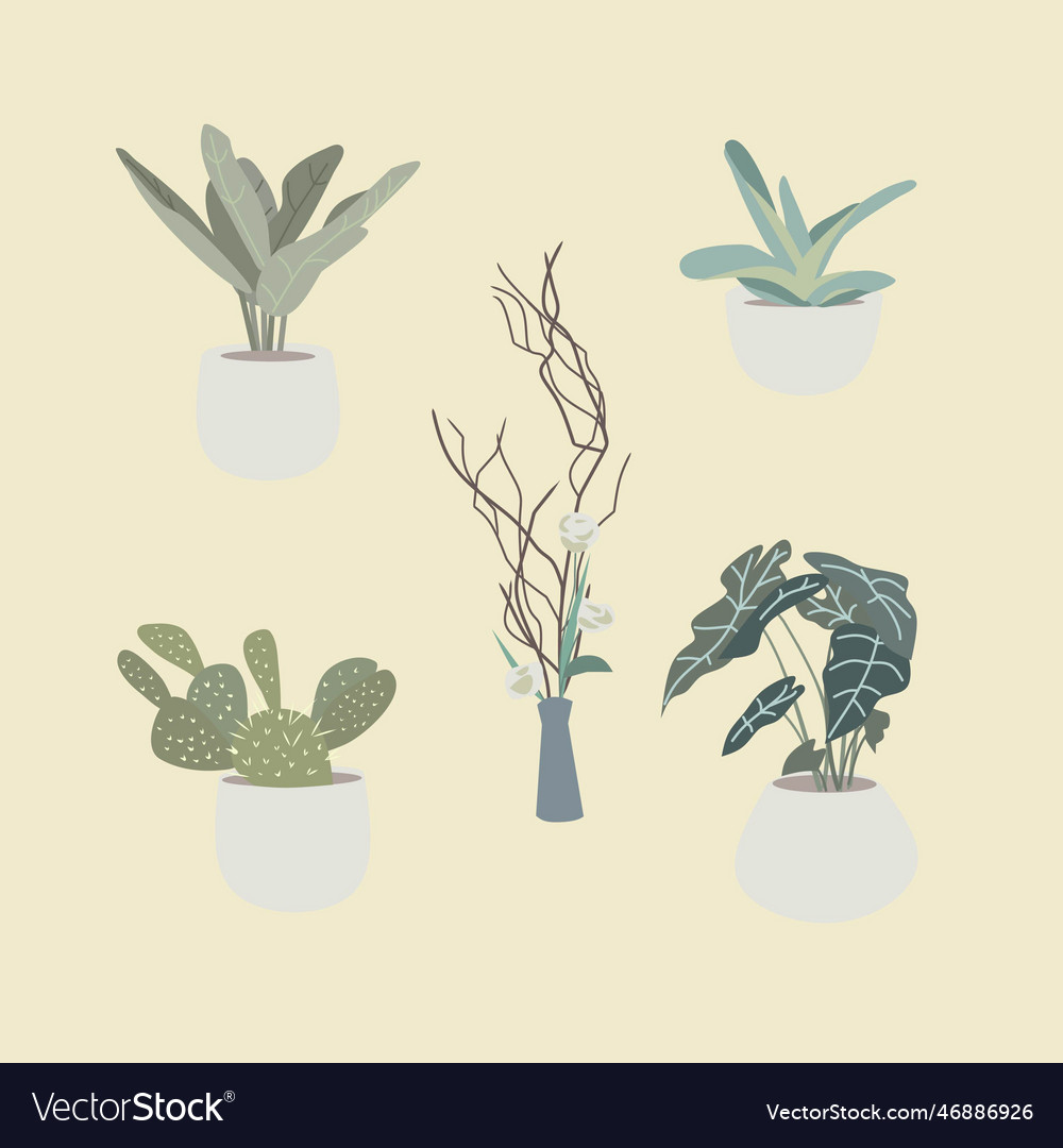 Plants Royalty Free Vector Image - VectorStock