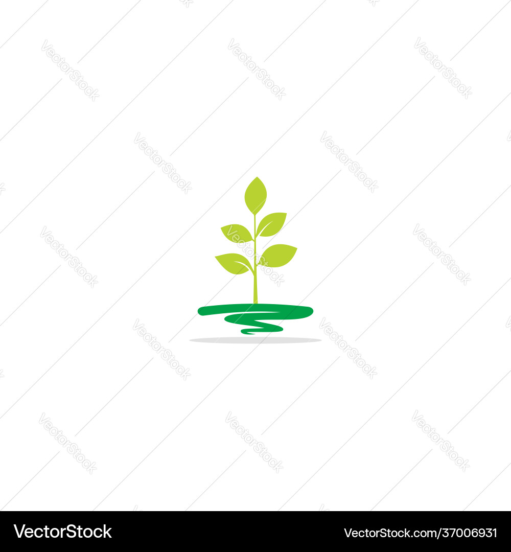 Plant botany eco nature logo Royalty Free Vector Image