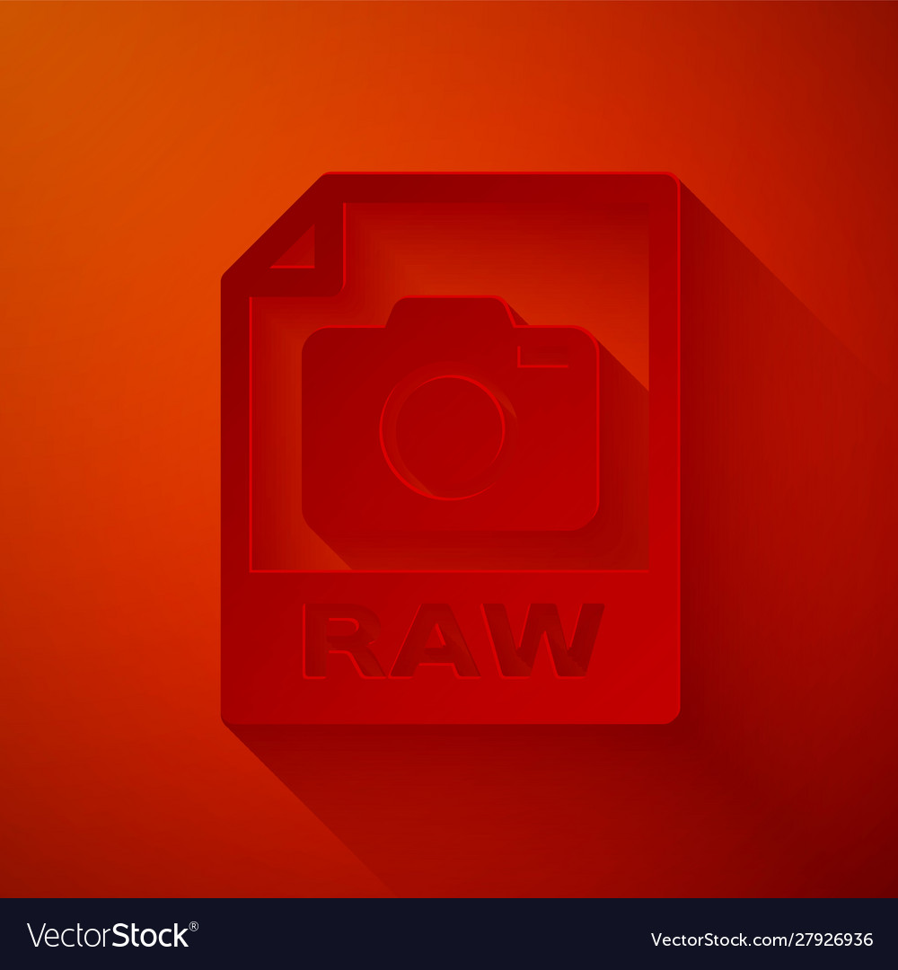 Paper cut raw file document download raw button Vector Image