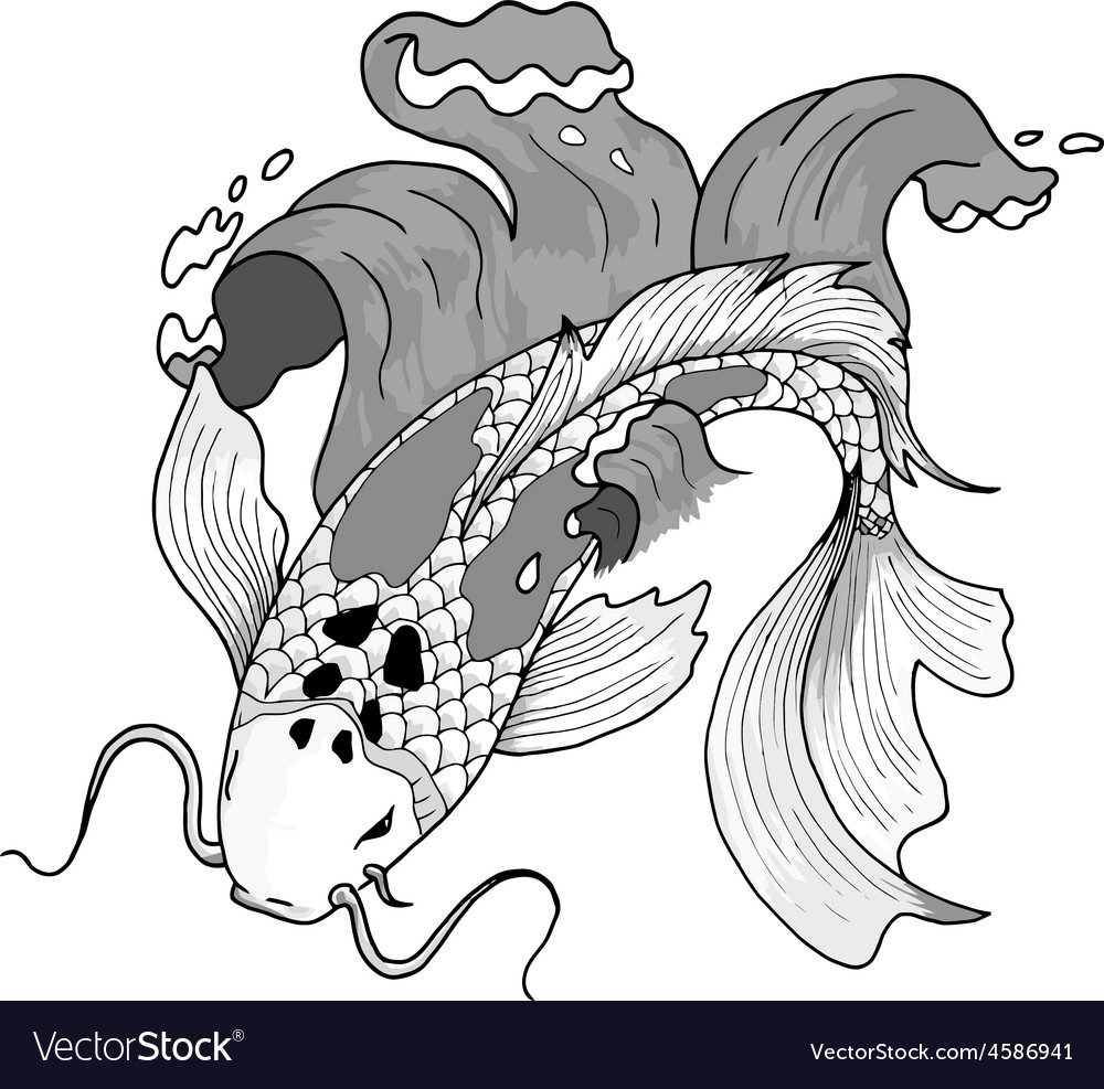 Koi carp Royalty Free Vector Image - VectorStock
