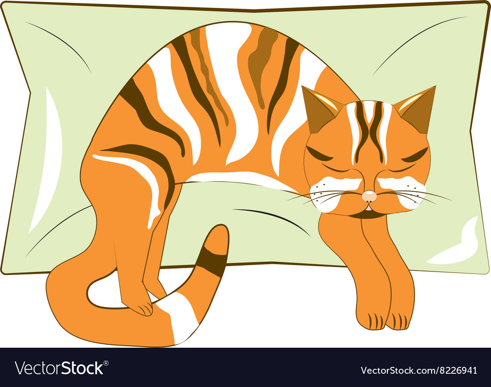 Napping kitty Royalty Free Vector Image - VectorStock