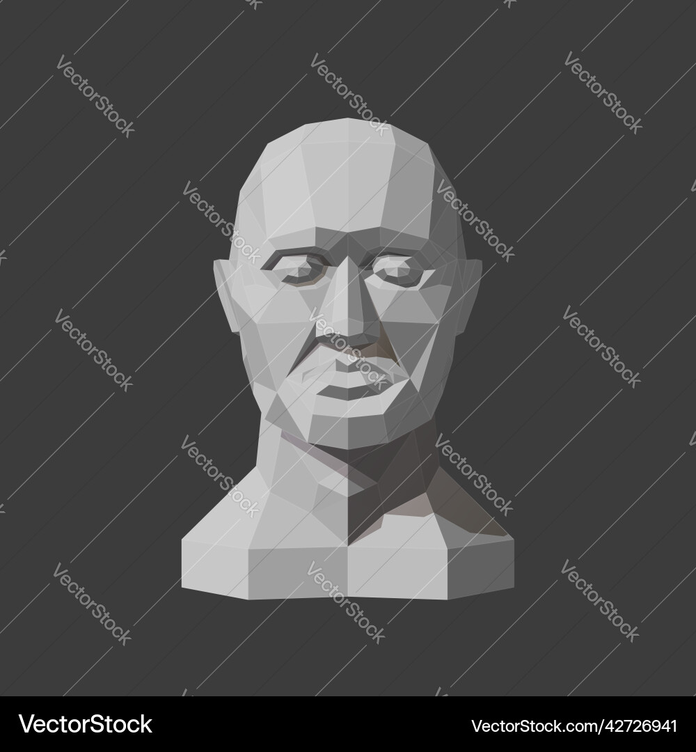 Partitioning of a mans head on plane shading Vector Image