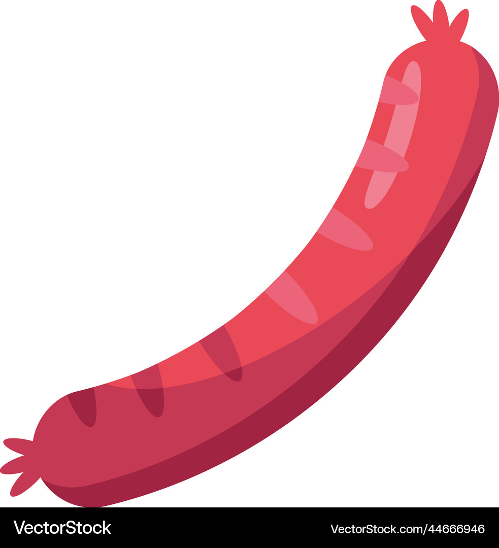 Fresh sausage food Royalty Free Vector Image - VectorStock