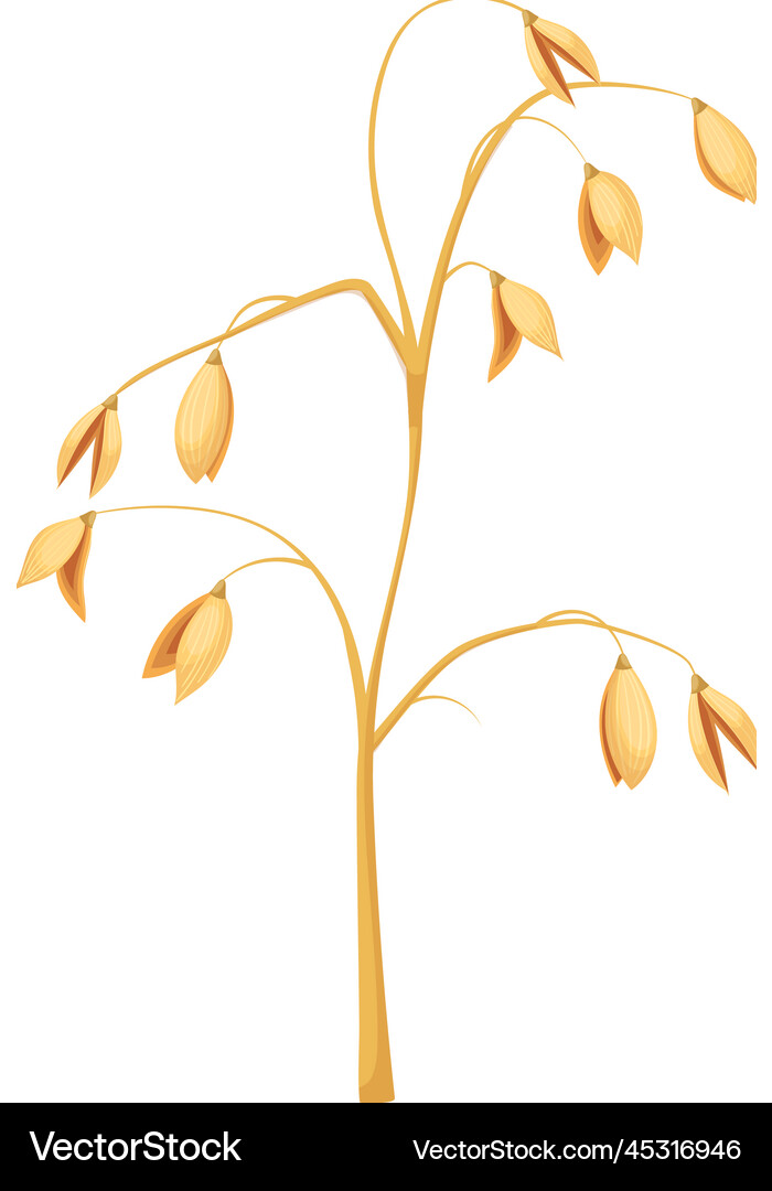 Oatmeal plant cartoon Royalty Free Vector Image