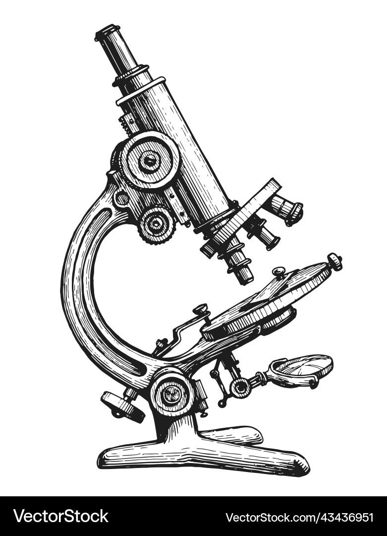Hand drawn sketch vintage microscope medical Vector Image