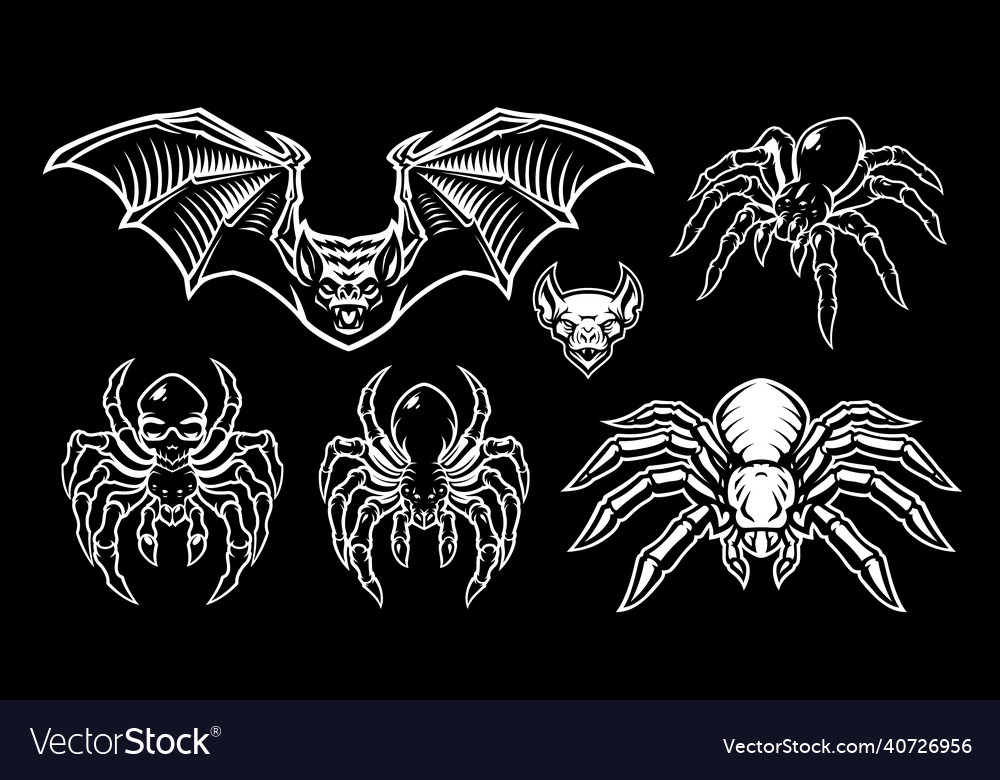 Spiders and bats Royalty Free Vector Image - VectorStock