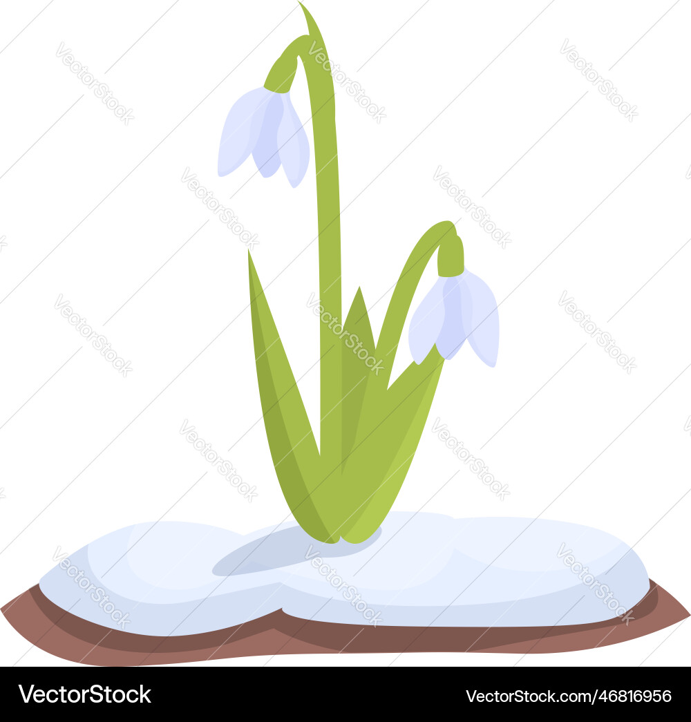 Spring flower icon cartoon grass flower Royalty Free Vector