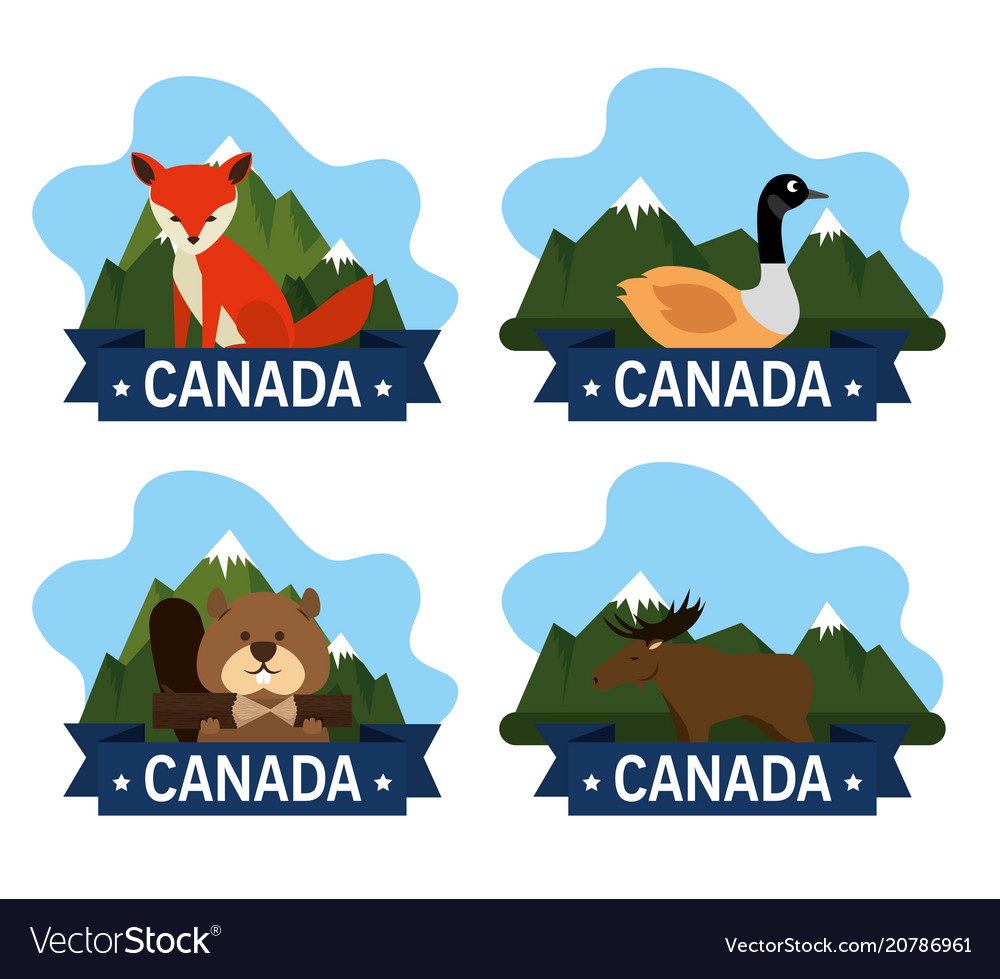 Canadian culture group of animals Royalty Free Vector Image