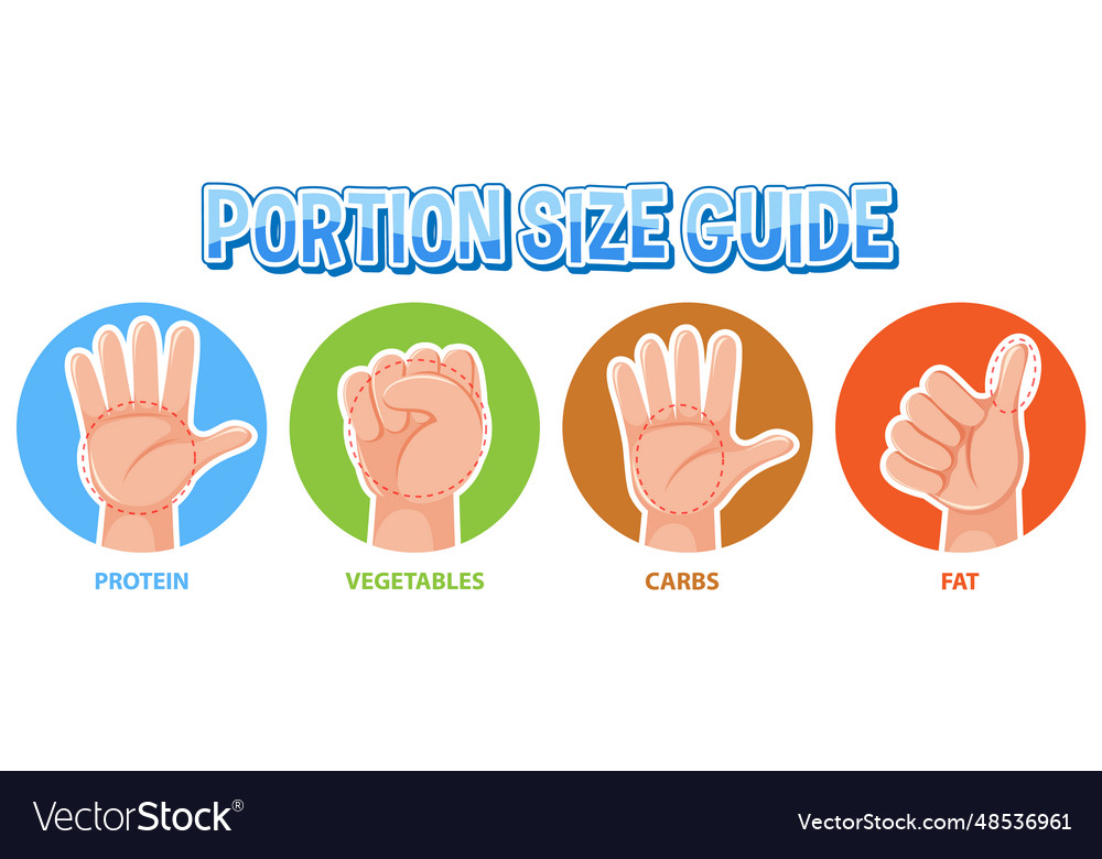 Hand portion size guide for healthy eating Vector Image