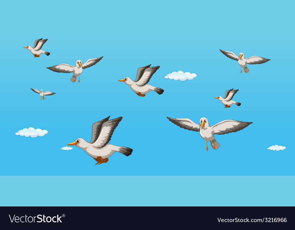 Birds Royalty Free Vector Image - VectorStock