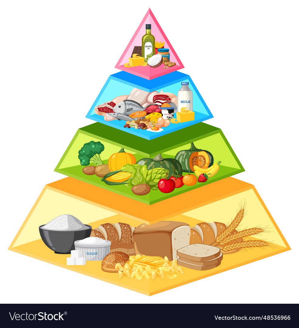 Food Pyramid For Kids Clipart