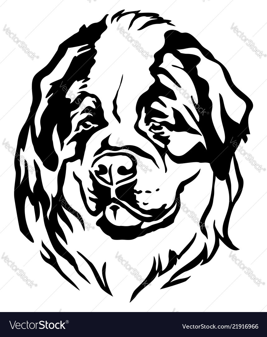 Decorative portrait of dog st bernard Royalty Free Vector