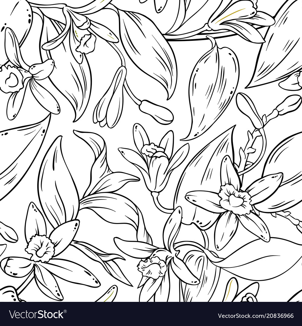Vanilla seamless pattern Royalty Free Vector Image