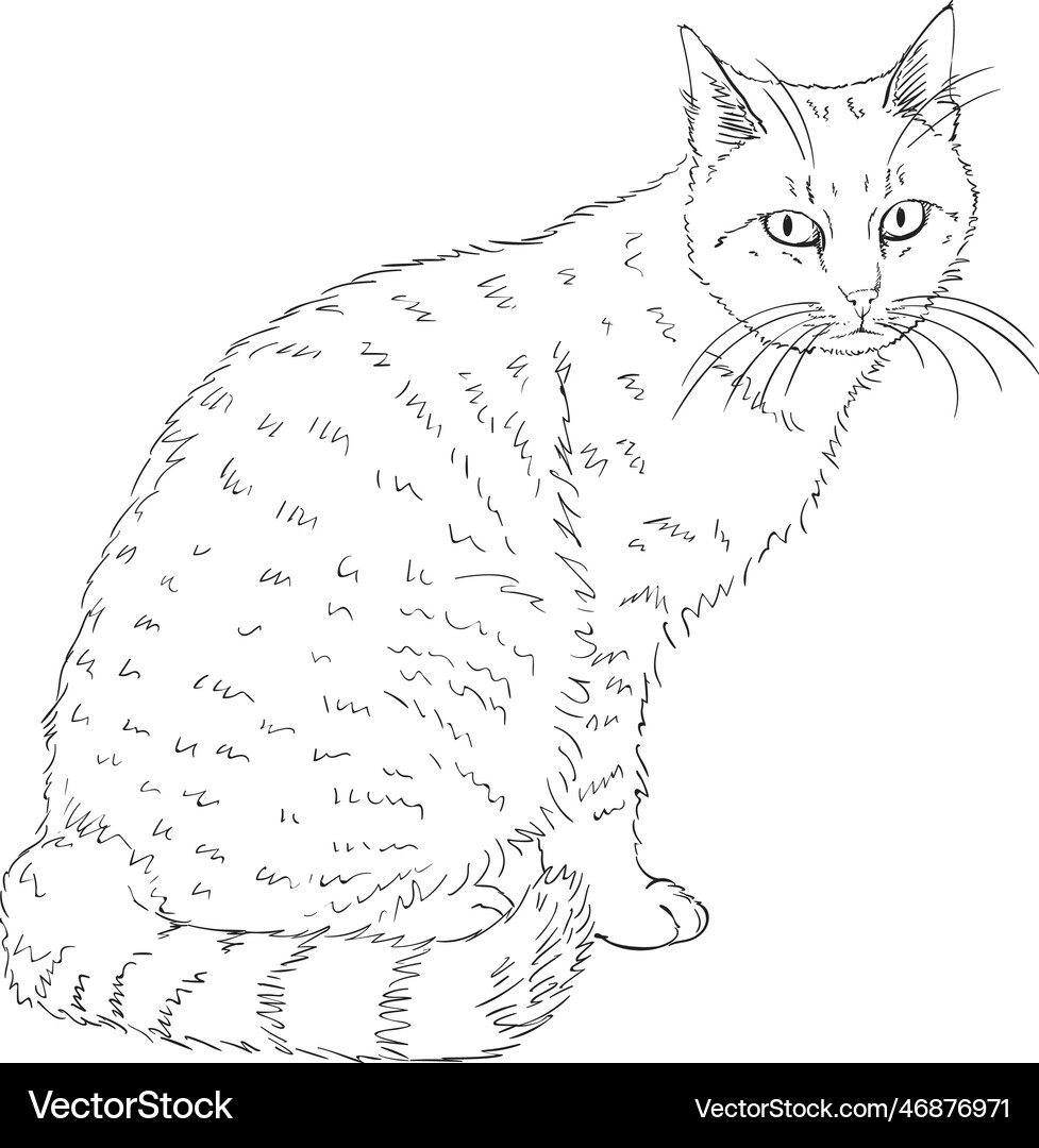 Cat Royalty Free Vector Image - VectorStock