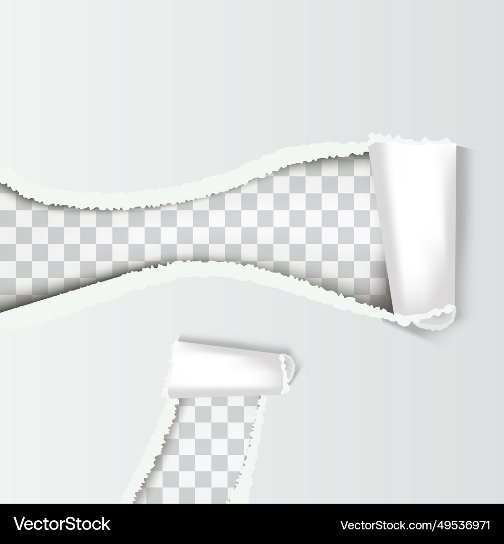 Holes in paper white sheet design Royalty Free Vector Image