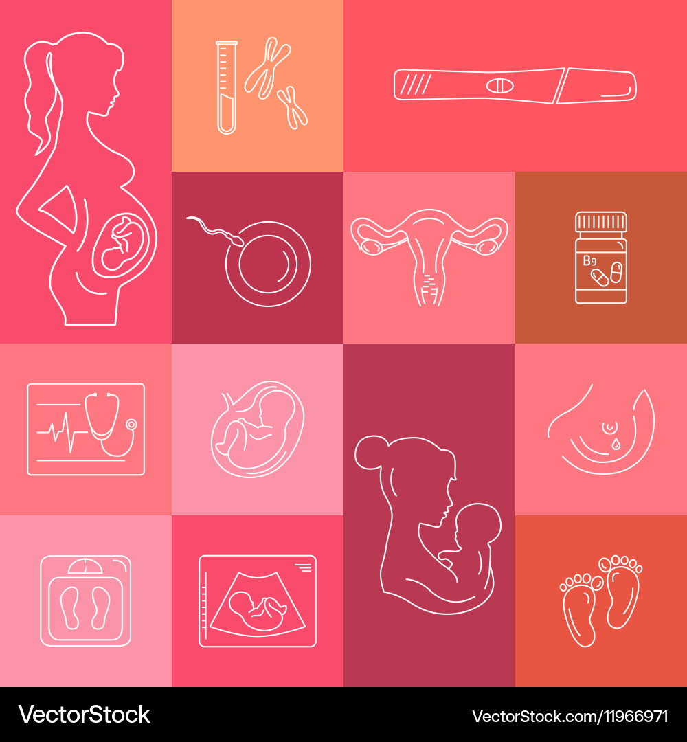 Medicine and pregnancy line icon Royalty Free Vector Image