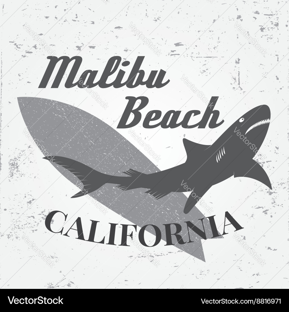 Set vintage surfing graphics and emblem for web Vector Image