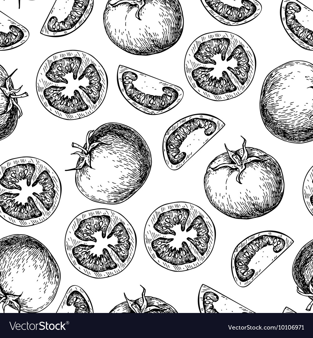 Tomato seamless pattern drawing Isolated Vector Image