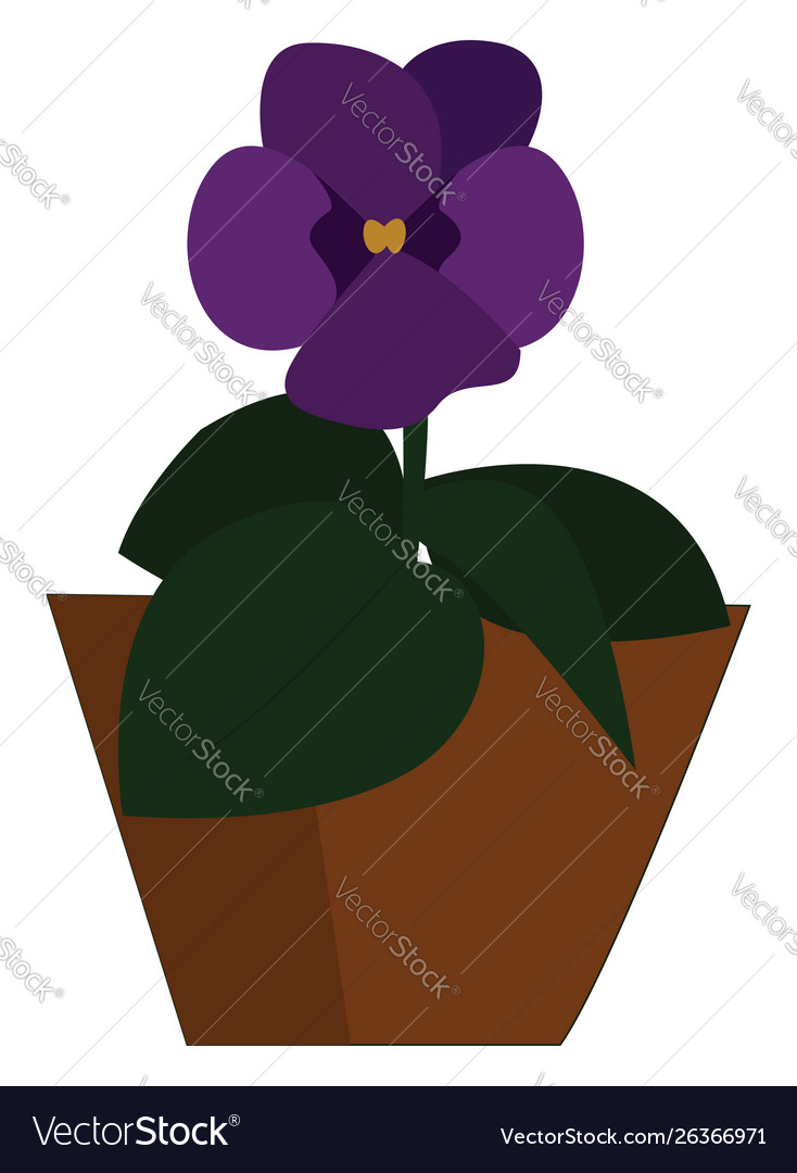 Violet flower or color Royalty Free Vector Image