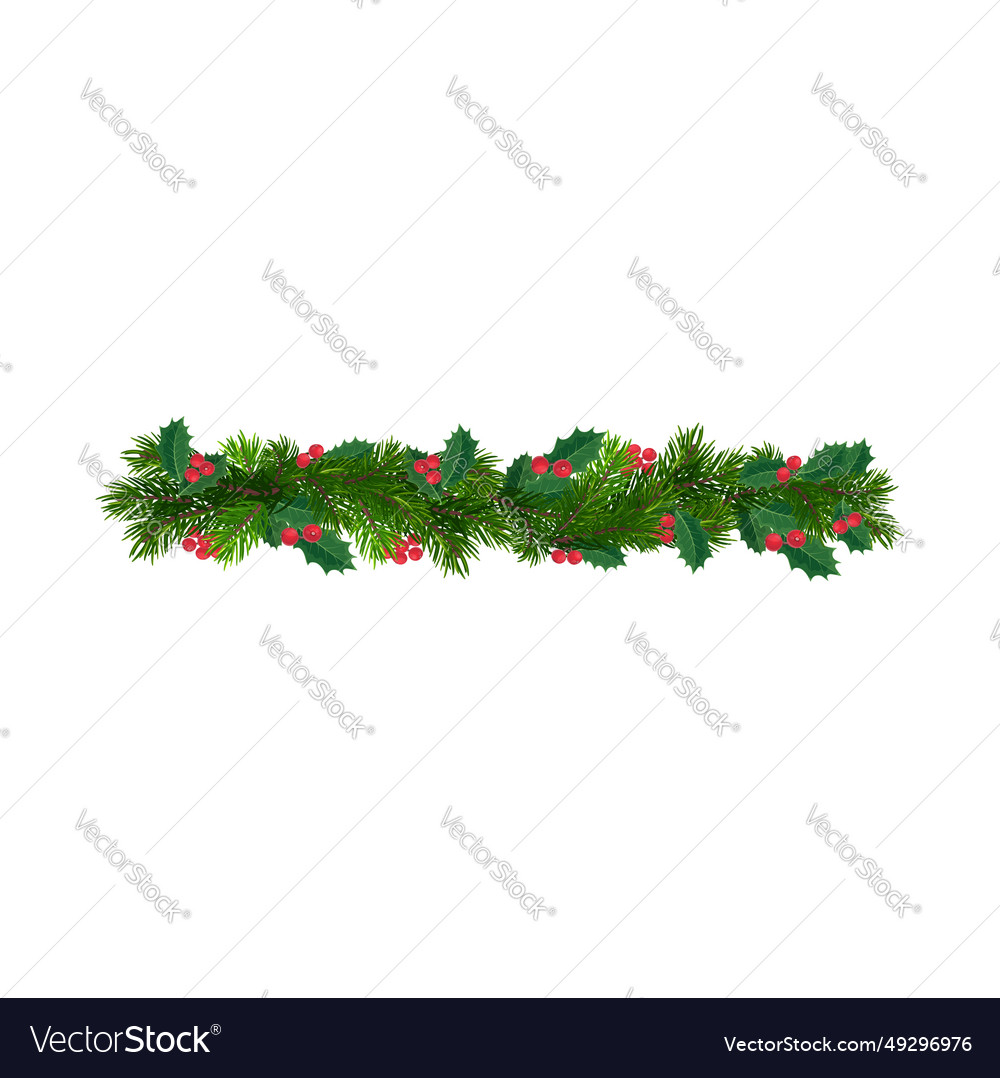 Christmas fir pine tree branch holly leaf border Vector Image