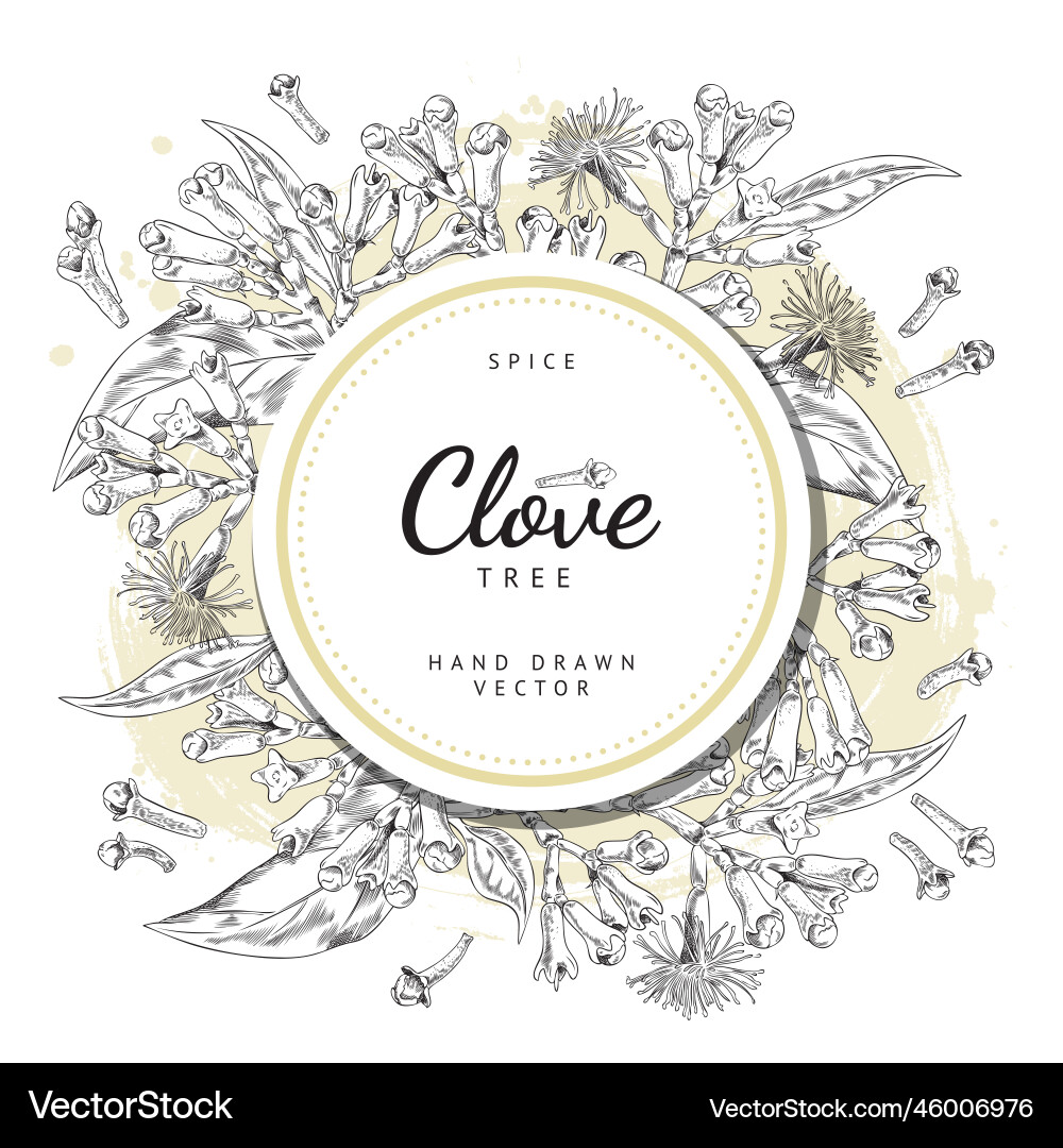 Clove spices banner or label design with circle Vector Image