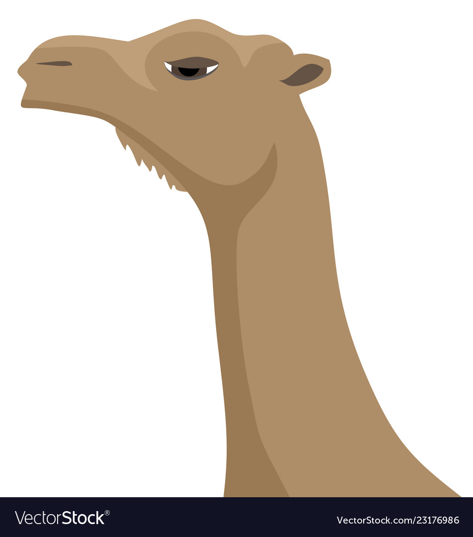Face camel Royalty Free Vector Image - VectorStock