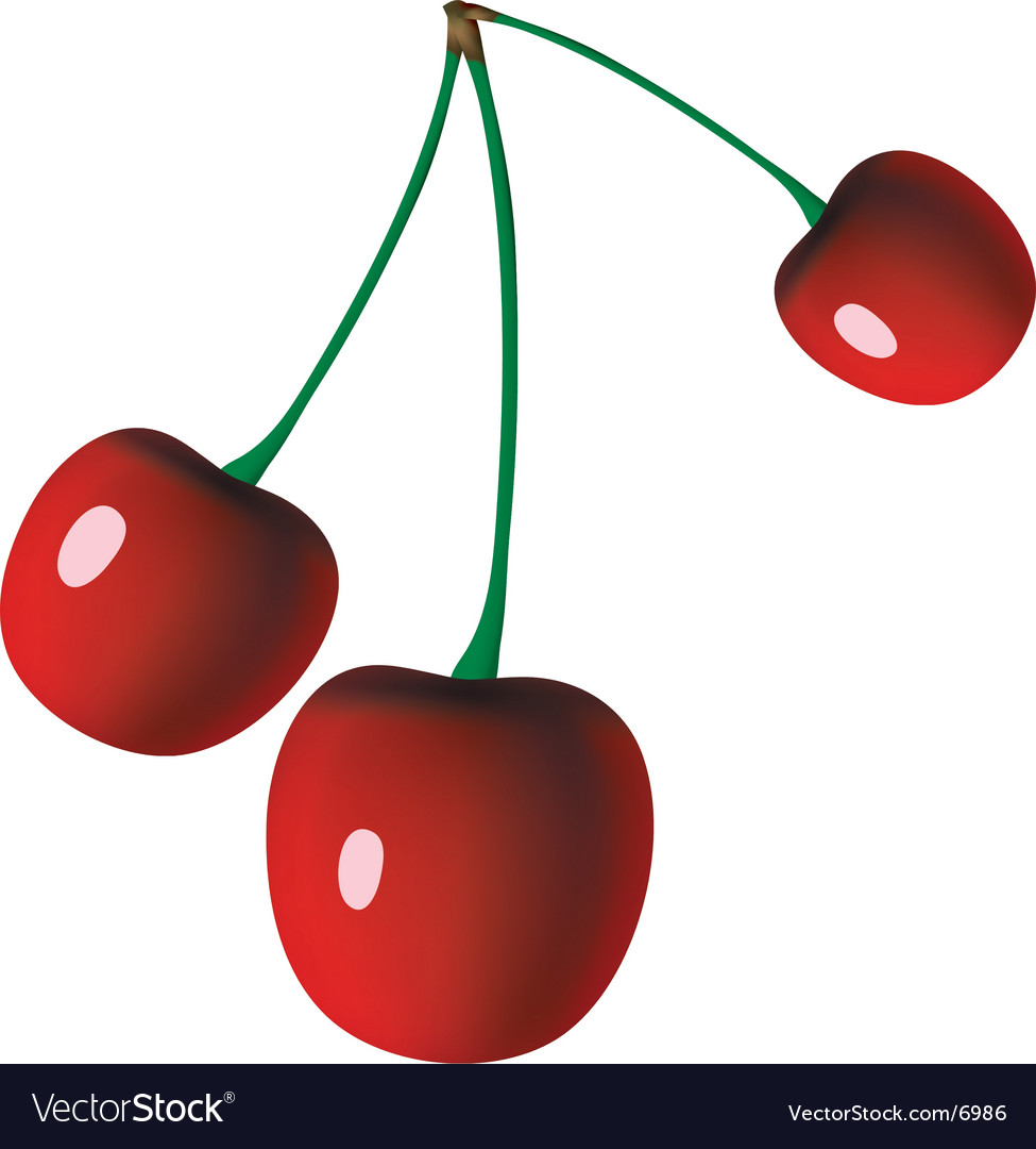Grade cherries Royalty Free Vector Image - VectorStock