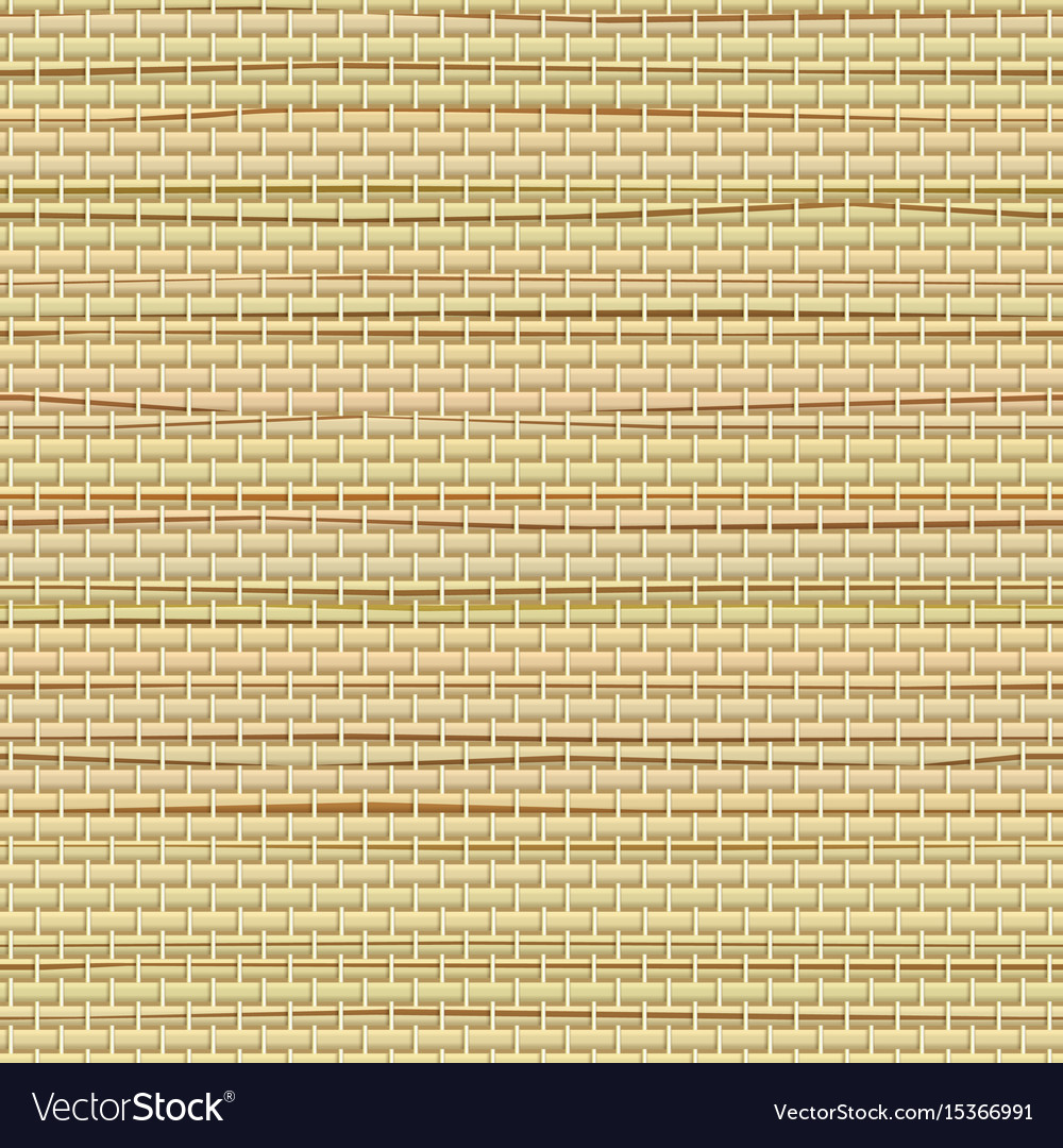 Wicker seamless pattern realistic highly Vector Image