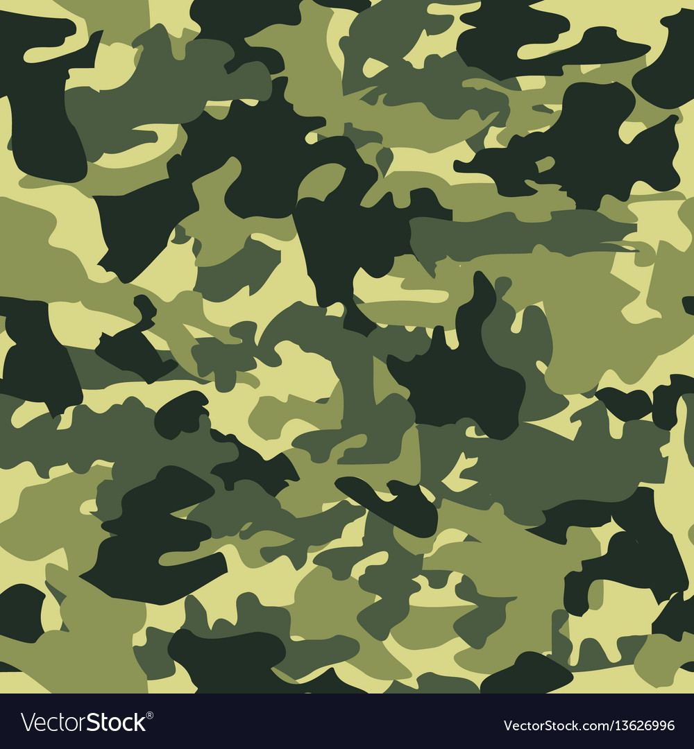 Camouflage seamless pattern Royalty Free Vector Image