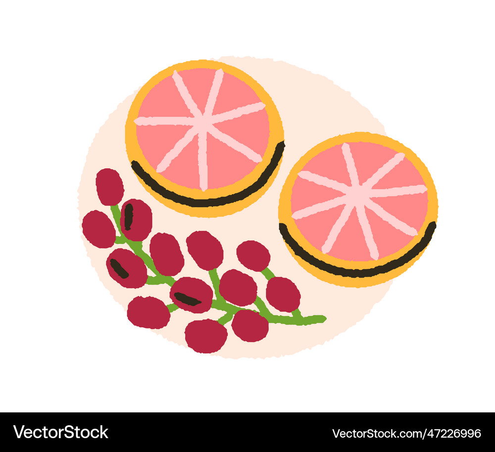 Grapes branch and grapefruit slices cut pieces Vector Image