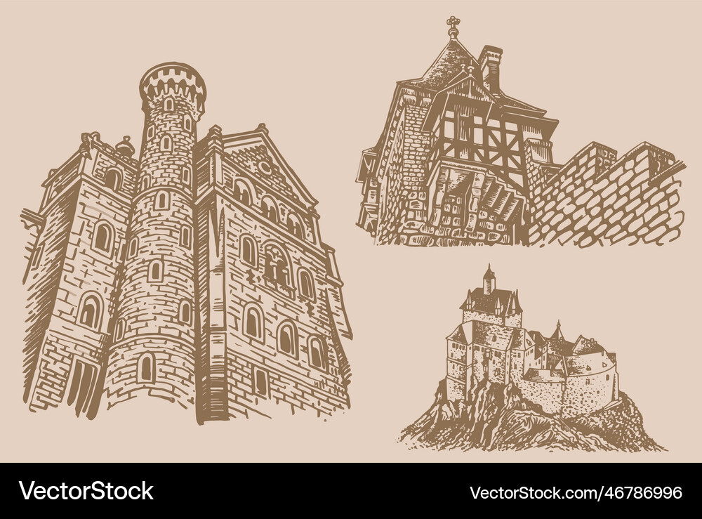 Graphical vintage set of medieval germany castles Vector Image