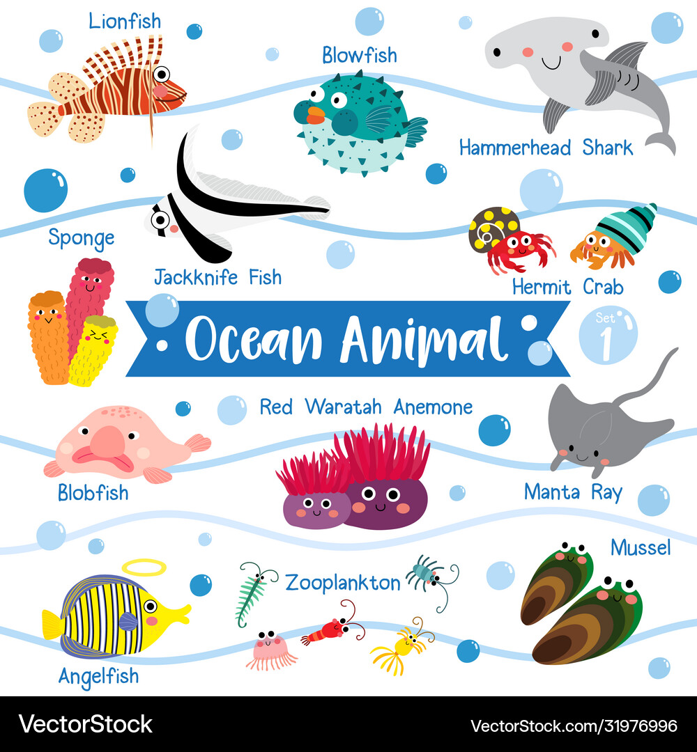 Ocean animal cartoon set 1 on white background Vector Image