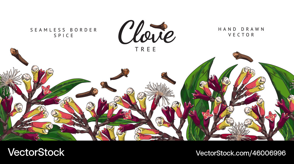 Seamless border with hand drawn colorful clove Vector Image