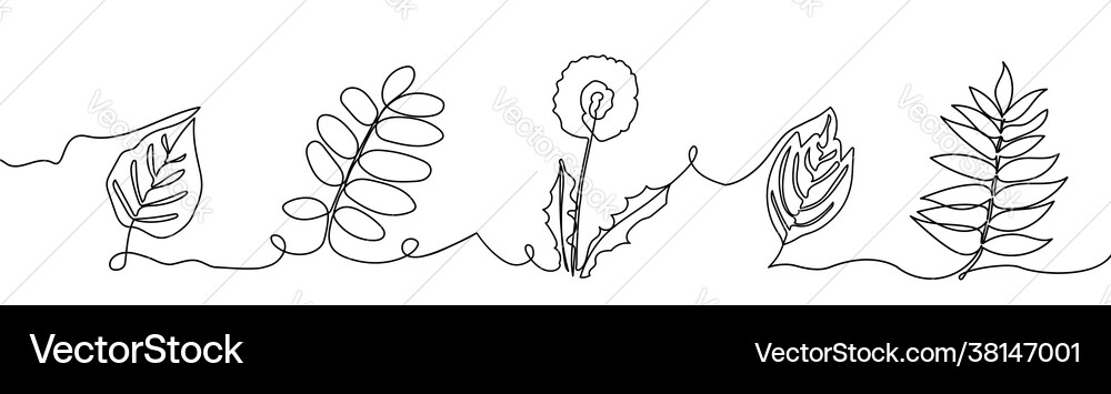 Continuous one line drawing flowers and leaves Vector Image