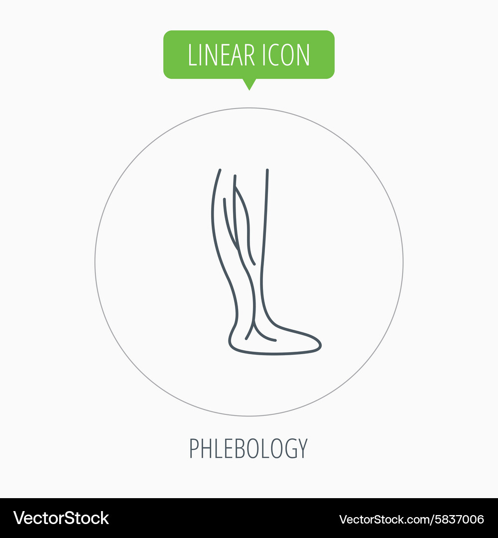 Phlebology icon leg veins sign Royalty Free Vector Image