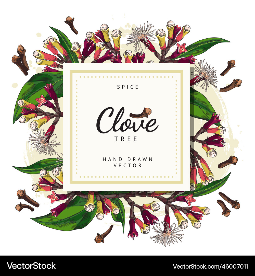 Clove tree advertising banner with copy space Vector Image